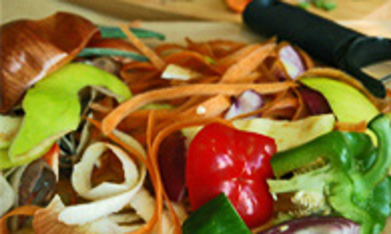 Duizenden tonnen groente en fruit-afval beland op de vuilnisbelt ...