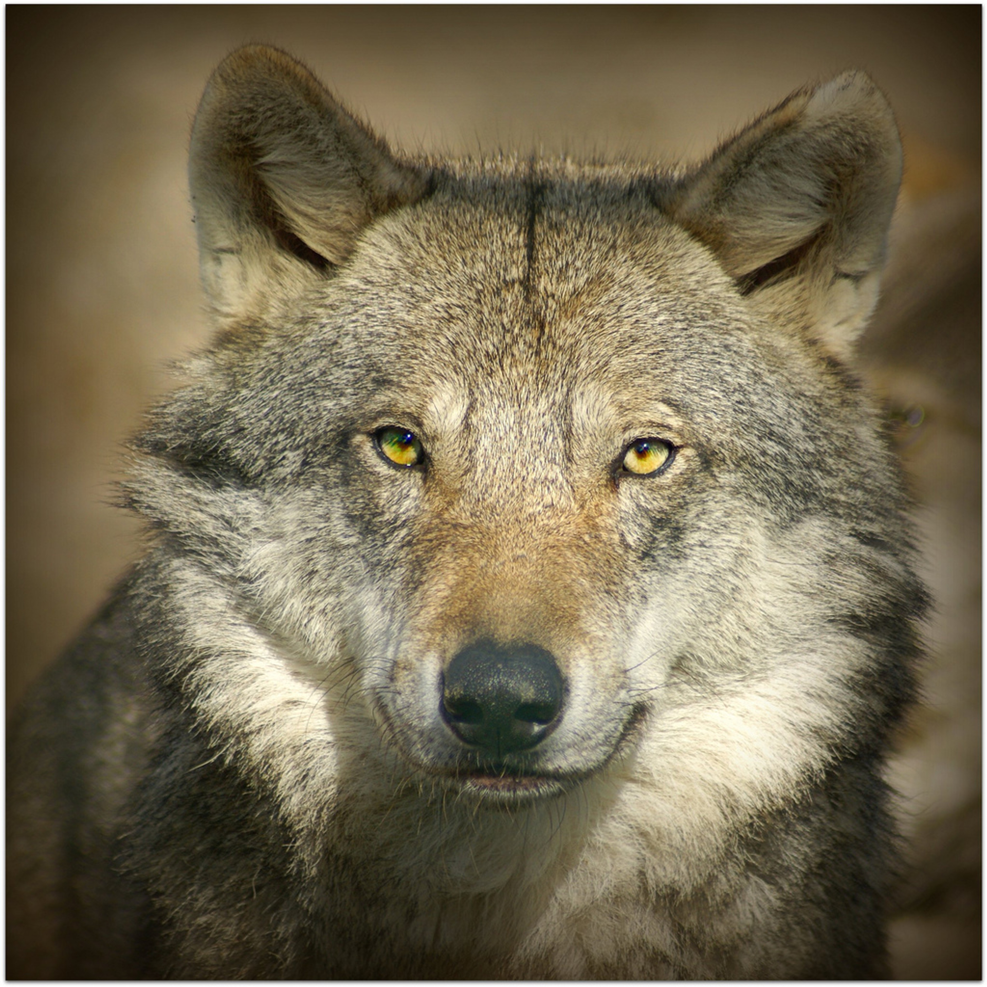 PostNL Aantekenen Aangetekende zending postbus - Kassa - BNNVARA