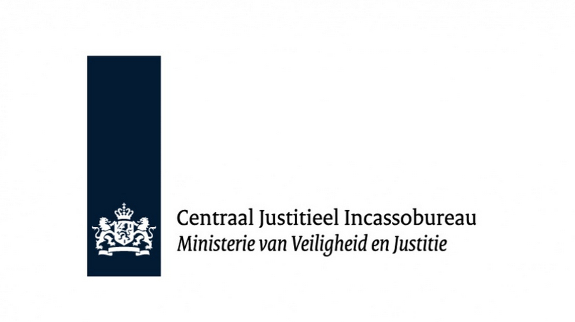 Inning boetes door het CJIB vergroot schuldproblemen - Kassa - BNNVARA